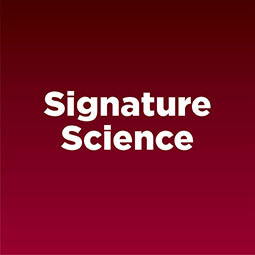 Research Strengths - College of Nursing | University of South Carolina